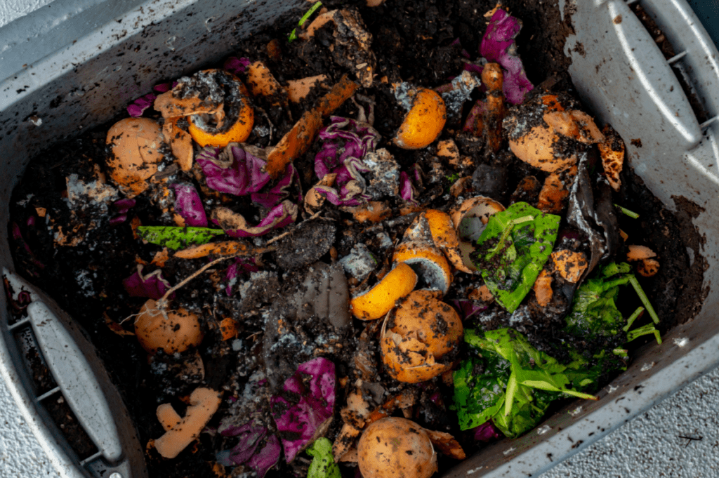 How to Compost in an Apartment? - 🌱 Grower Today