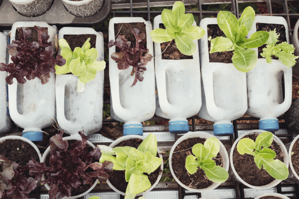 Using Safe Plastics for your Hydroponics - Grower Today
