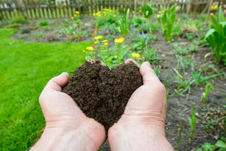 How to Add Compost to Existing Plant - Grower Today