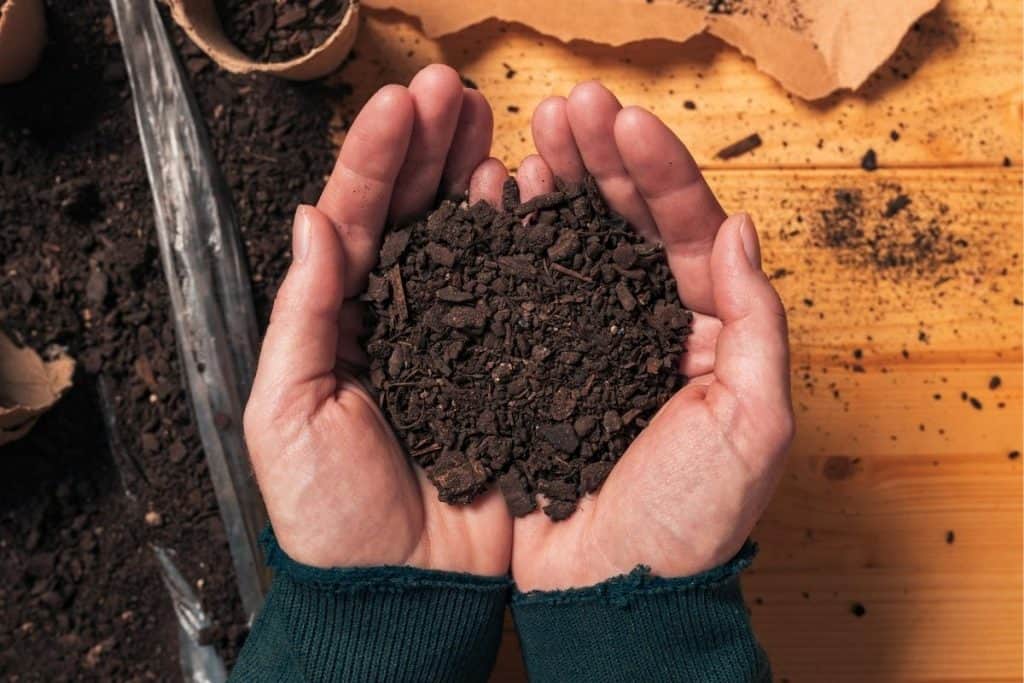 Top Soil Vs Compost- What’s The Difference & What's Best To Use ...