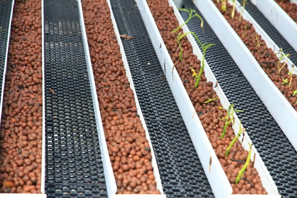 Recommended Growstones For Aquaponics - Grower Today