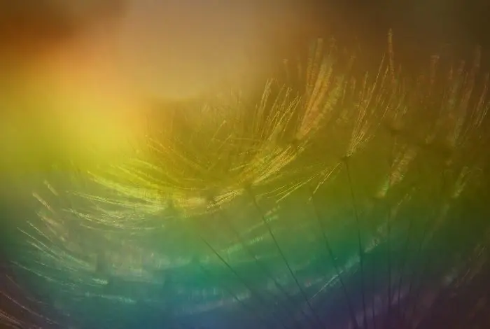 Grow Light Color Temperature - What is The Best For Plants? - Grower Today