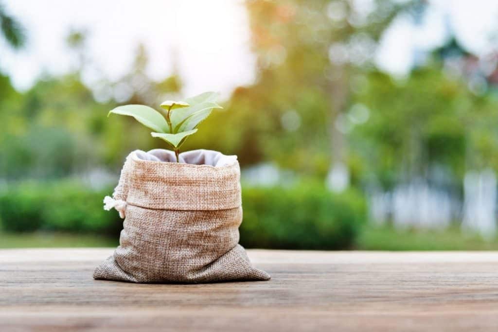 What Size Smart Pot For Indoor Grow - Grower Today