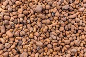 How To Use Hydroton Clay Pebbles - 🌱 Grower Today