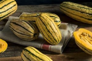 When To Harvest Delicata Squash - Grower Today