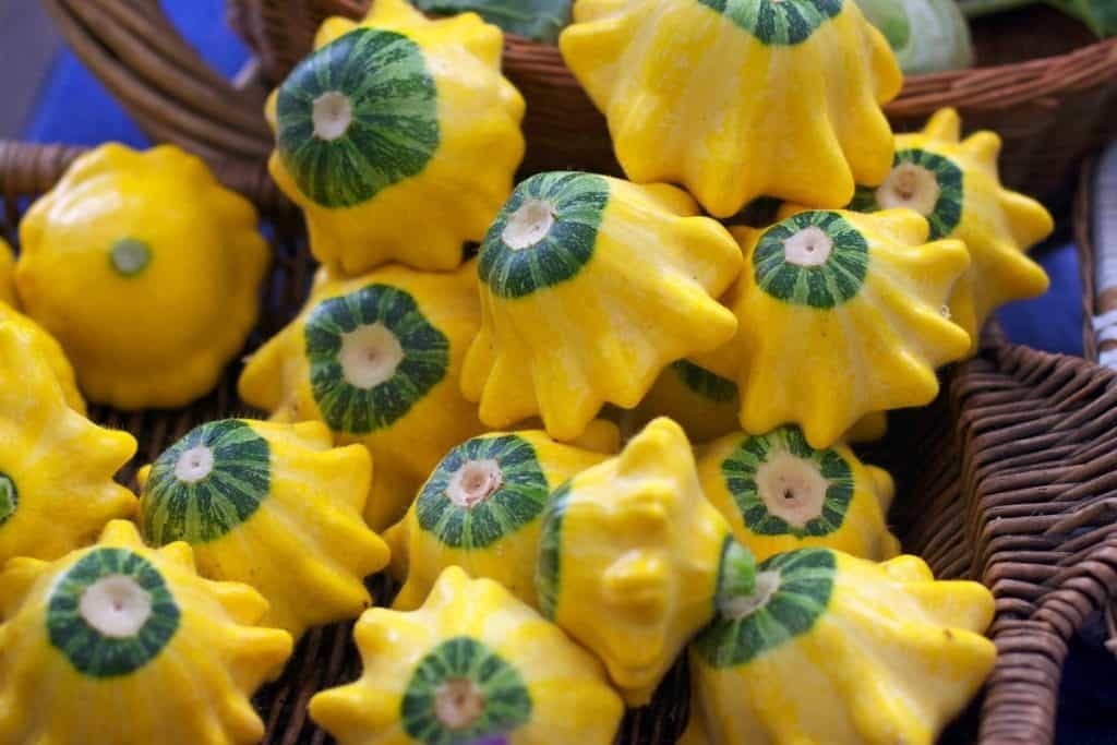 When To Harvest Patty Pan Squash - Grower Today