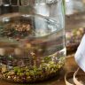 Soak Beans Before Planting: Ultimate Guide for 2023 - 🌱 Grower Today