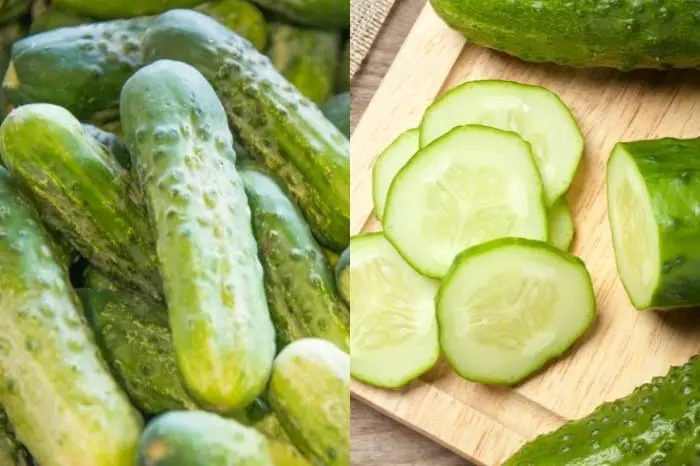 Differences Between Pickling Cucumbers VS Regular Cucumbers