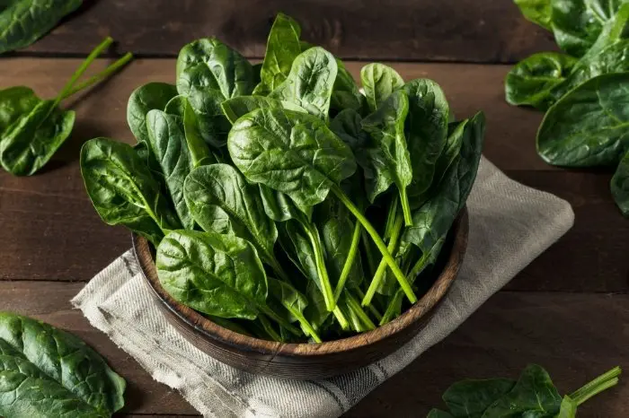 Differences Between Baby Spinach And Regular Spinach - Grower Today