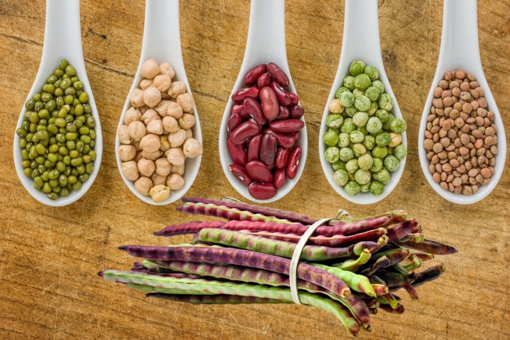 Bush Bean Varieties List - 🌱 Grower Today