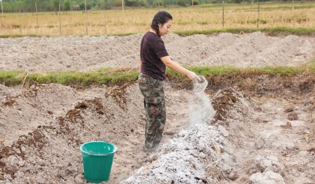 How Much Dolomite Lime Per Gallon Of Soil? - Grower Today