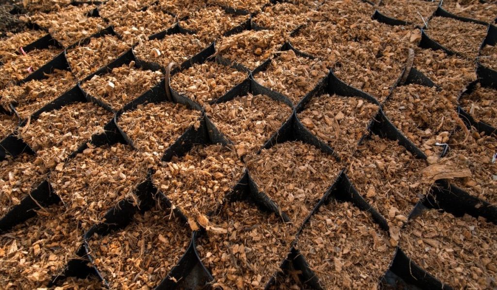 How To Use Coconut Coir In Gardening - 🌱 Grower Today
