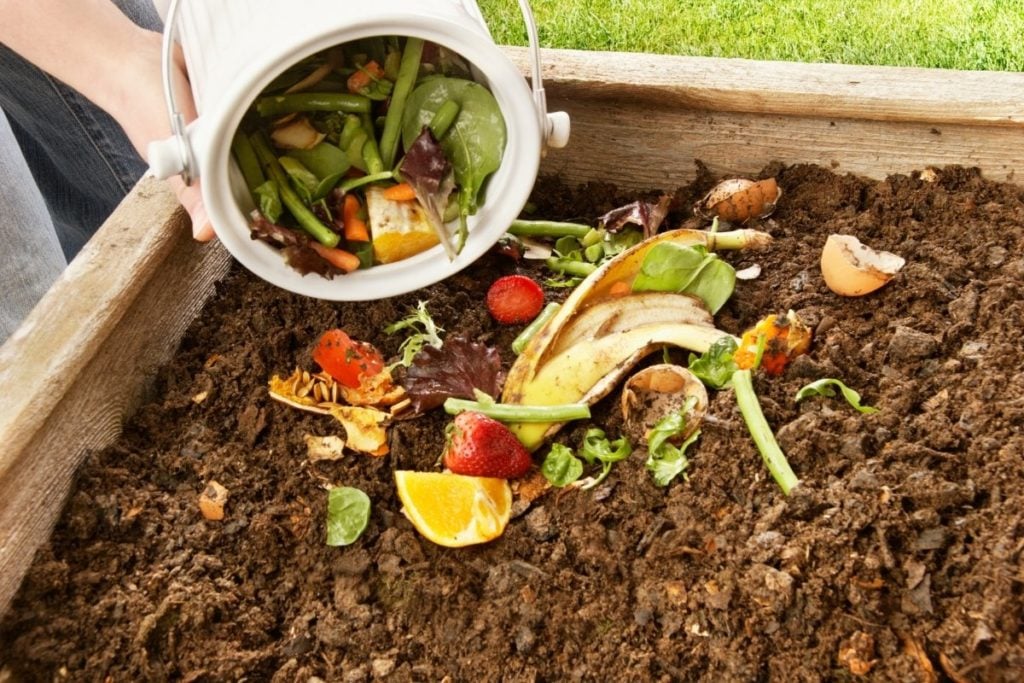 All About Brown Vs Green Compost - 🌱 Grower Today