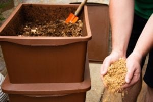 All About Brown Vs Green Compost - Grower Today