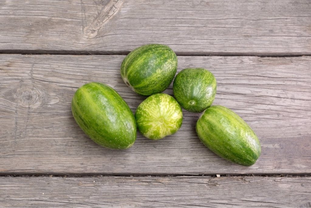 Why Are My Cucumbers Round? - Grower Today