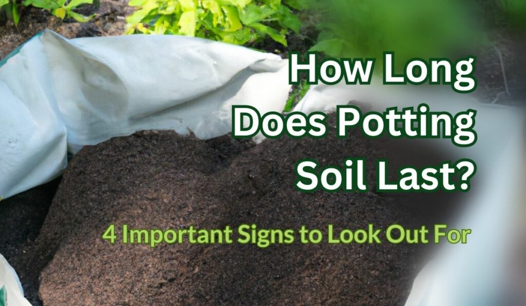 Does Potting Soil Go Bad? (4 Important Signs to Look Out For) - Grower ...